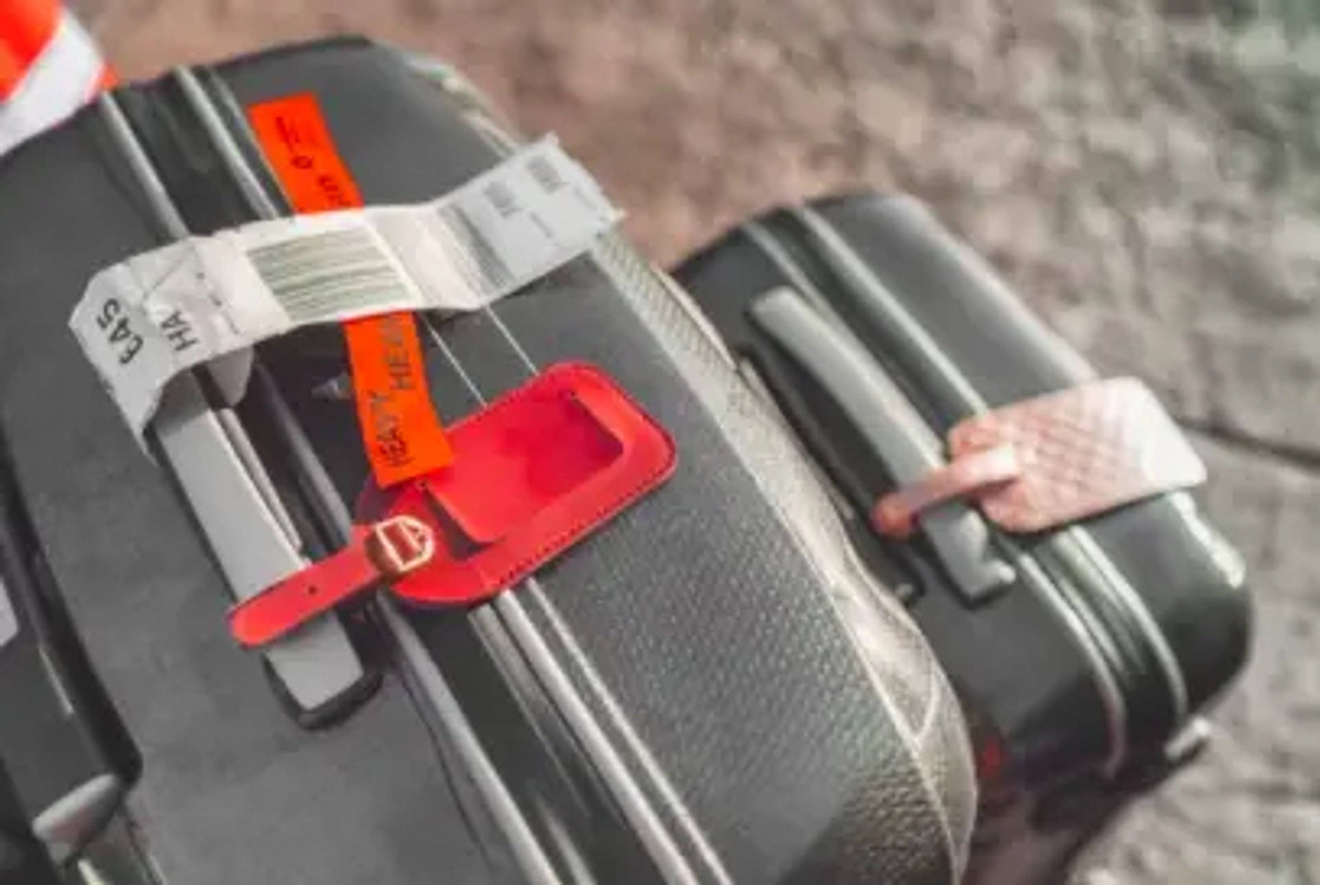 Airport Curbside Check-in Guide: Your bags will thank you!